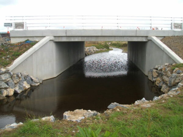 Double Tee Walls – Banagher Precast